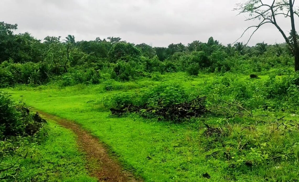 Hotel Land in Goa: An Ideal Choice for Developers - Hudibaba
